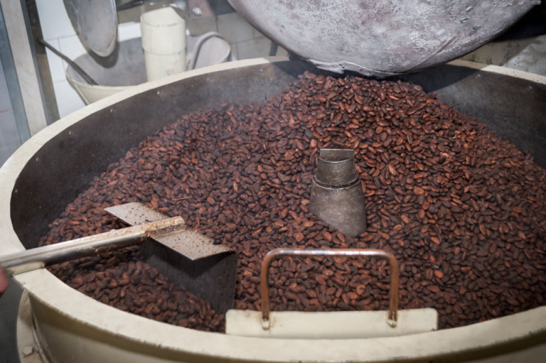 Procesamiento del Cacao: Secretos y Maquinarias